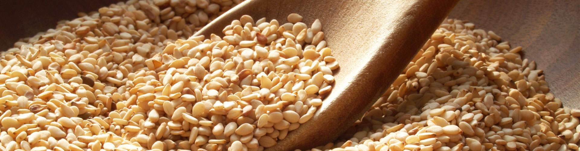 Susam Bitkisi ve Susam Bitkisinin Faydaları Nelerdir?