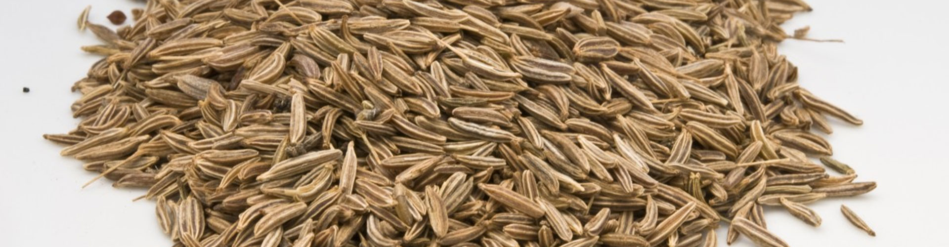 Kimyon Bitkisi ve Kimyon Bitkisinin Faydaları Nelerdir?